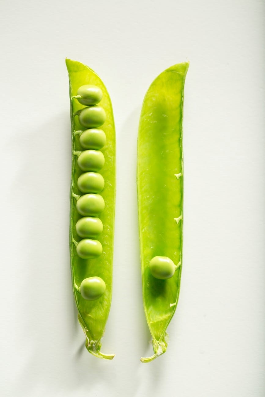 Everything to Know About Starting a Vegetable Patch