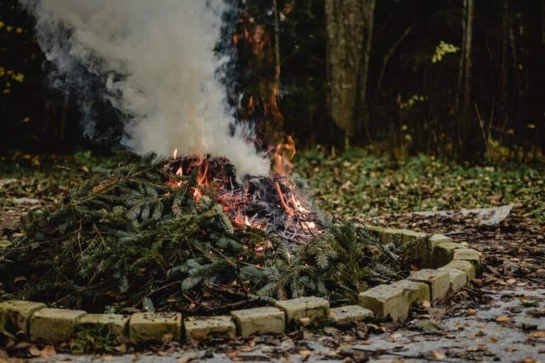 What Do You Burn In A Fire Pit? | Garden Benches Blog