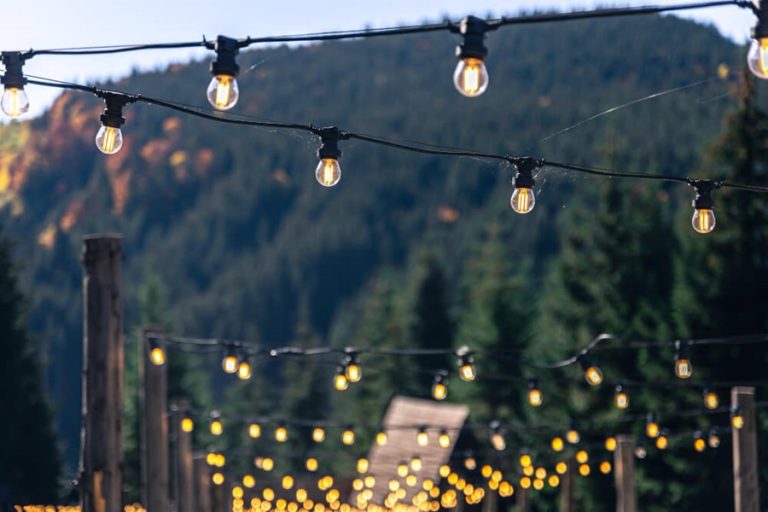Top 17 Beer Garden Ideas for the Perfect Summer Vibe