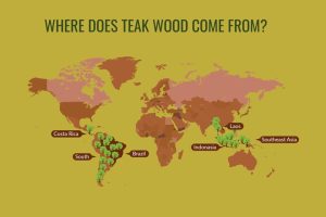 Teak Wood: Uses, Benefits & Why It's Great for Furniture