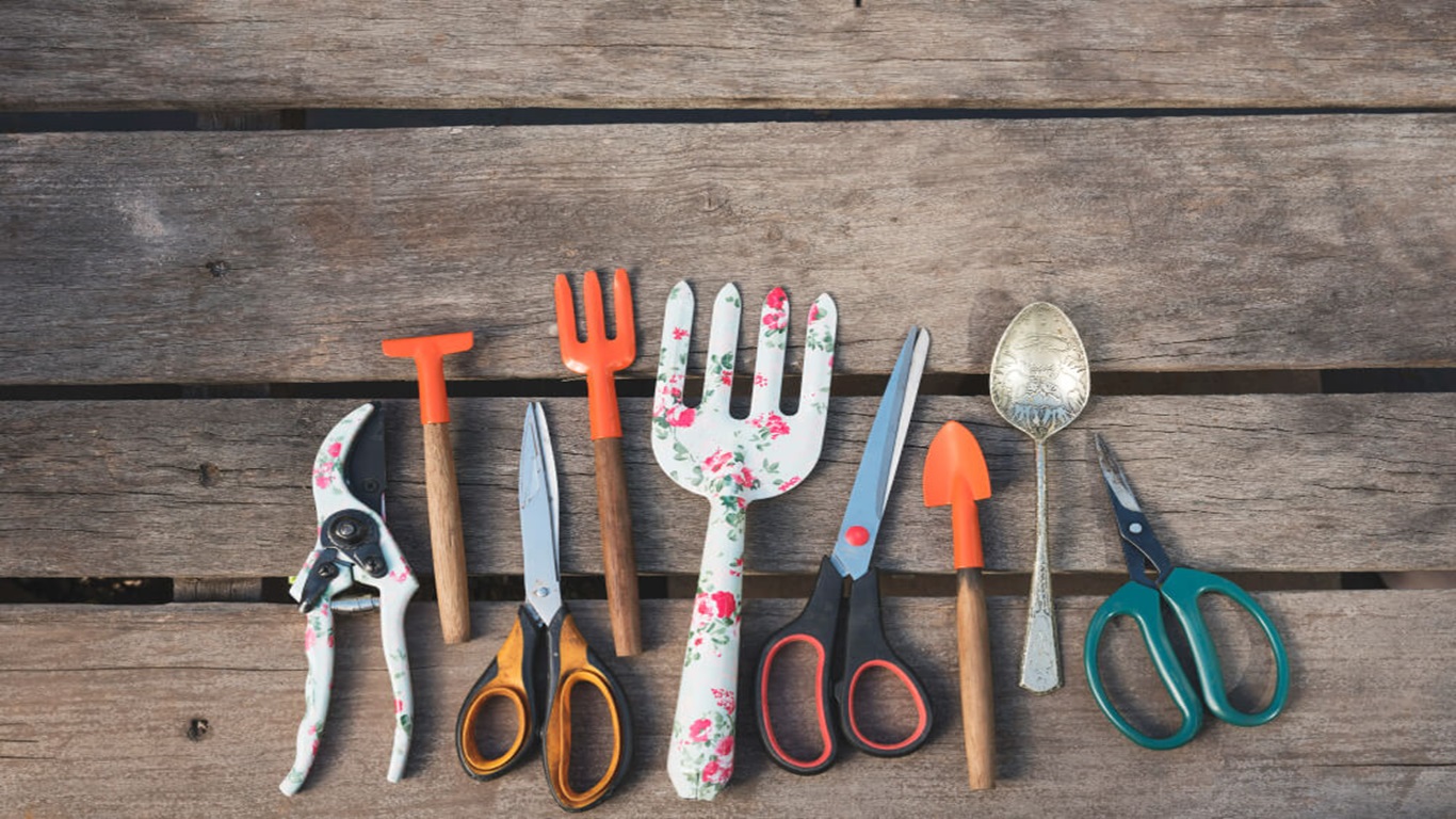 How to Clean Garden Tools: Expert Garden Tool Maintenance